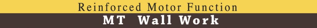 Reinforced Motor Function – McLeod Technique
